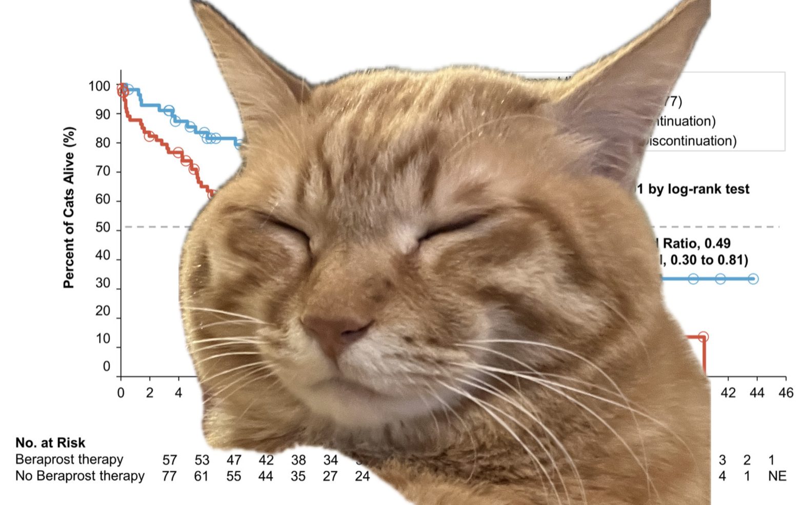 ラプロス（腎臓病の薬）の有効性についての、その後の論文が出てました | 猫専門病院の猫ブログ nekopedia ネコペディア